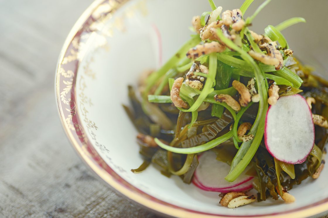 Make our Bamfield Seaweed Salad at home! | Wolf In The Fog