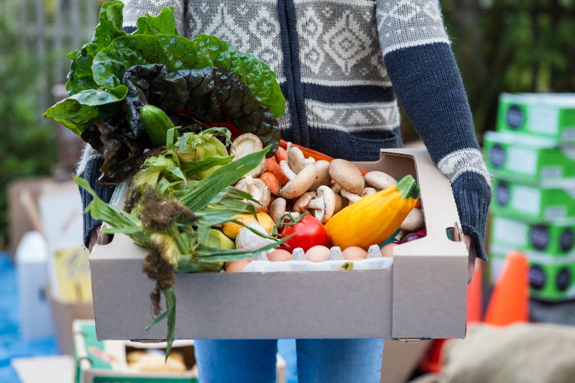 Tofino Ucluelet Culinary Guild | Wolf In The Fog